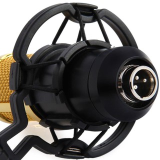 Jual Microphone Condensor Mic Kondensor with Shock Proof Mount Vlogger ...