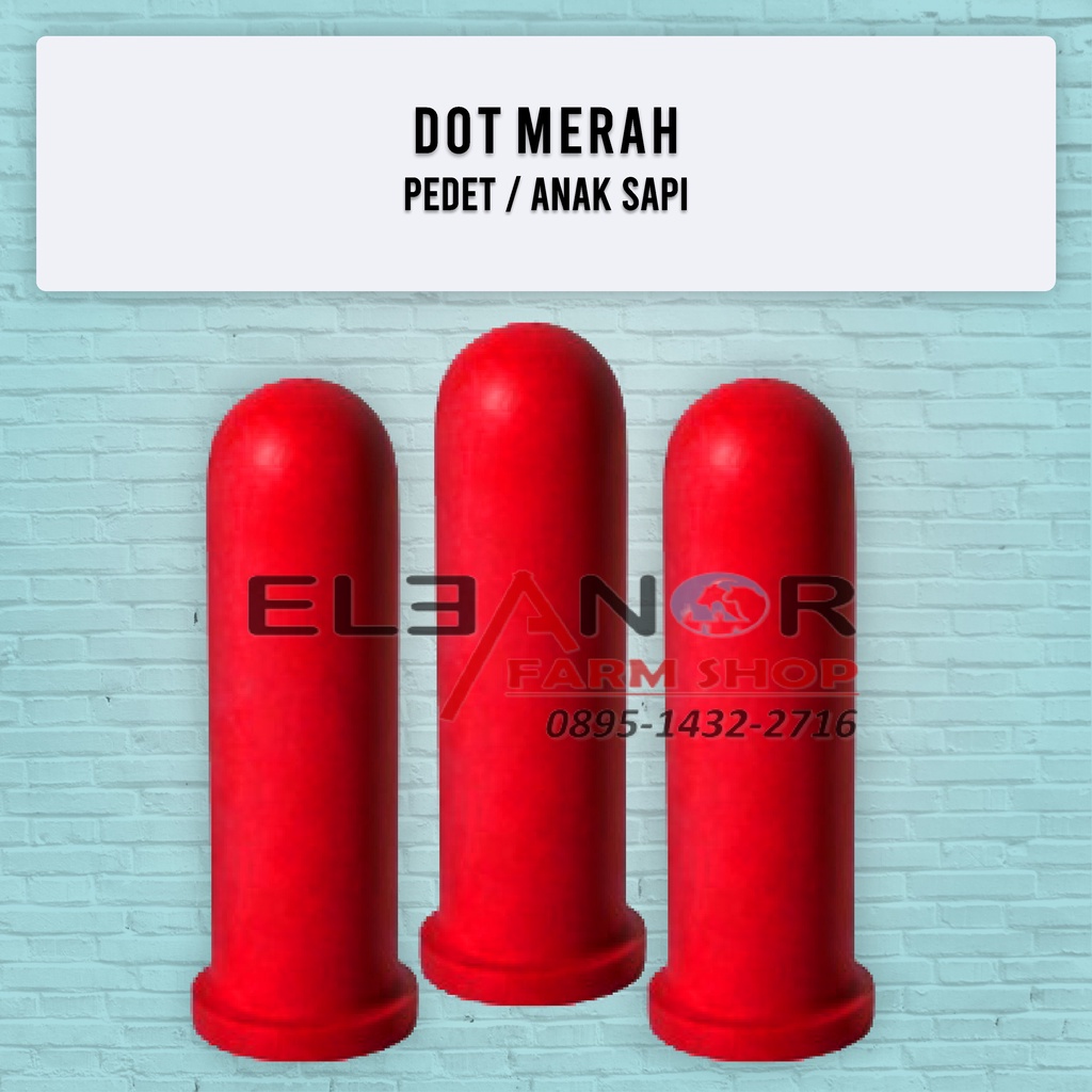 Jual Dot Pedet Anak Sapi Cempe Kambing Domba merah | Shopee Indonesia