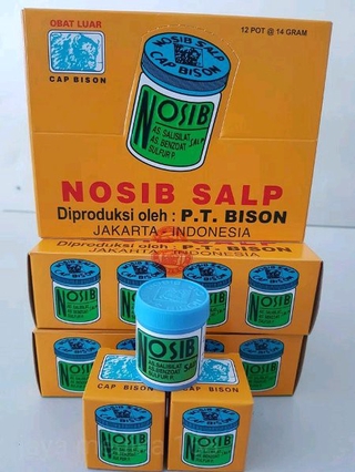 Jual SALEP NOSIB 14 gr CAP BISON - OBAT PENYAKIT KULIT eceran | Shopee ...
