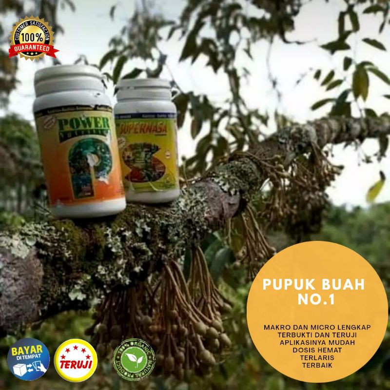 Jual PAKET PELEBAT BUAH ORGANIK / MENGATASI TANAMAN YANG SULIT BERBUAH DAN MUDAH RONTOK | Shopee ...