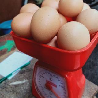 Telur Ayam Negeri Merah Curah | Shopee Indonesia