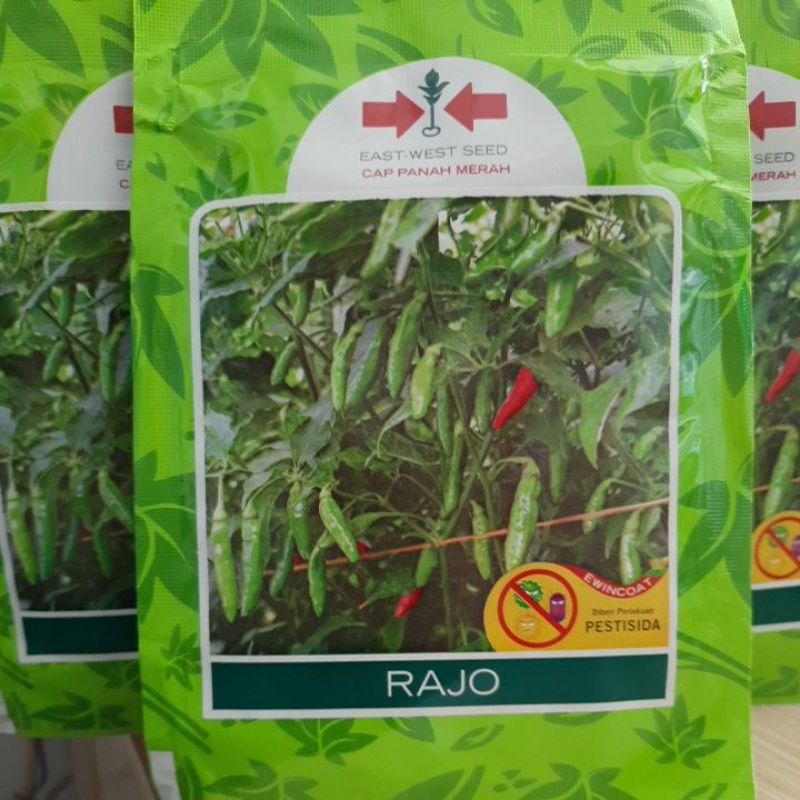 Jual Benih Cabai Cabe Rawit Rajo 2250 Butir Cabe Rajo - Cap Panah Merah ...