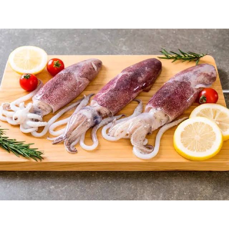 Jual CUMI CUMI SEGAR FRESH | Shopee Indonesia