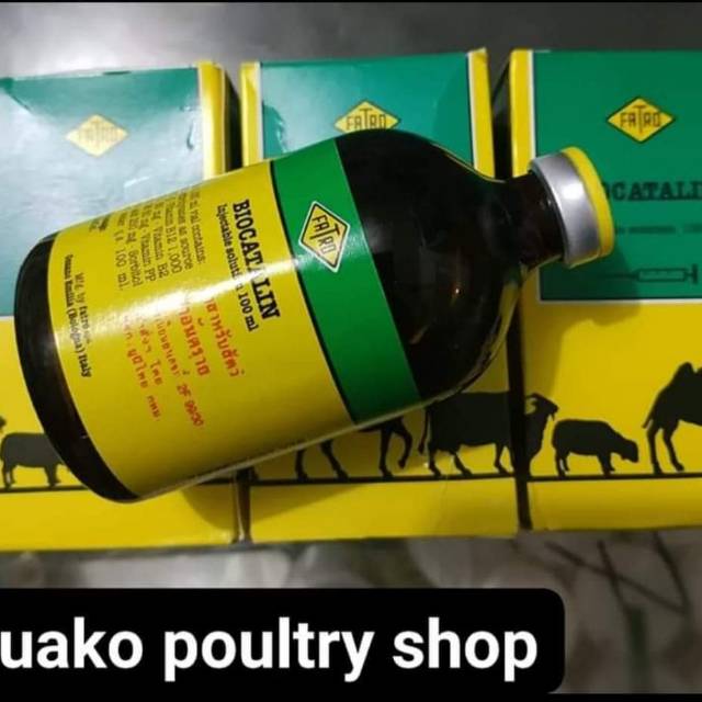 Harga Biocatalin Terbaru November 2022 |BigGo Indonesia