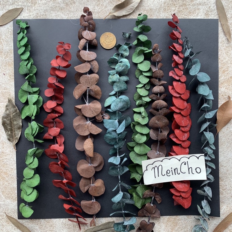 Jual Bunga Kering Daun EUCALYPTUS Dried Flower Dolar Leaves Preserved ...