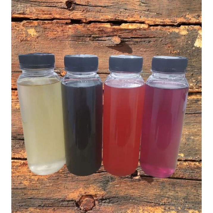 Jual Teh Kombucha Minuman Probiotik 250ml | Shopee Indonesia