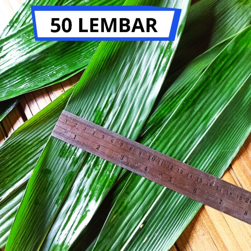 Daun Bambu bakcang | Daun Bakcang 50 lembar | Shopee Indonesia
