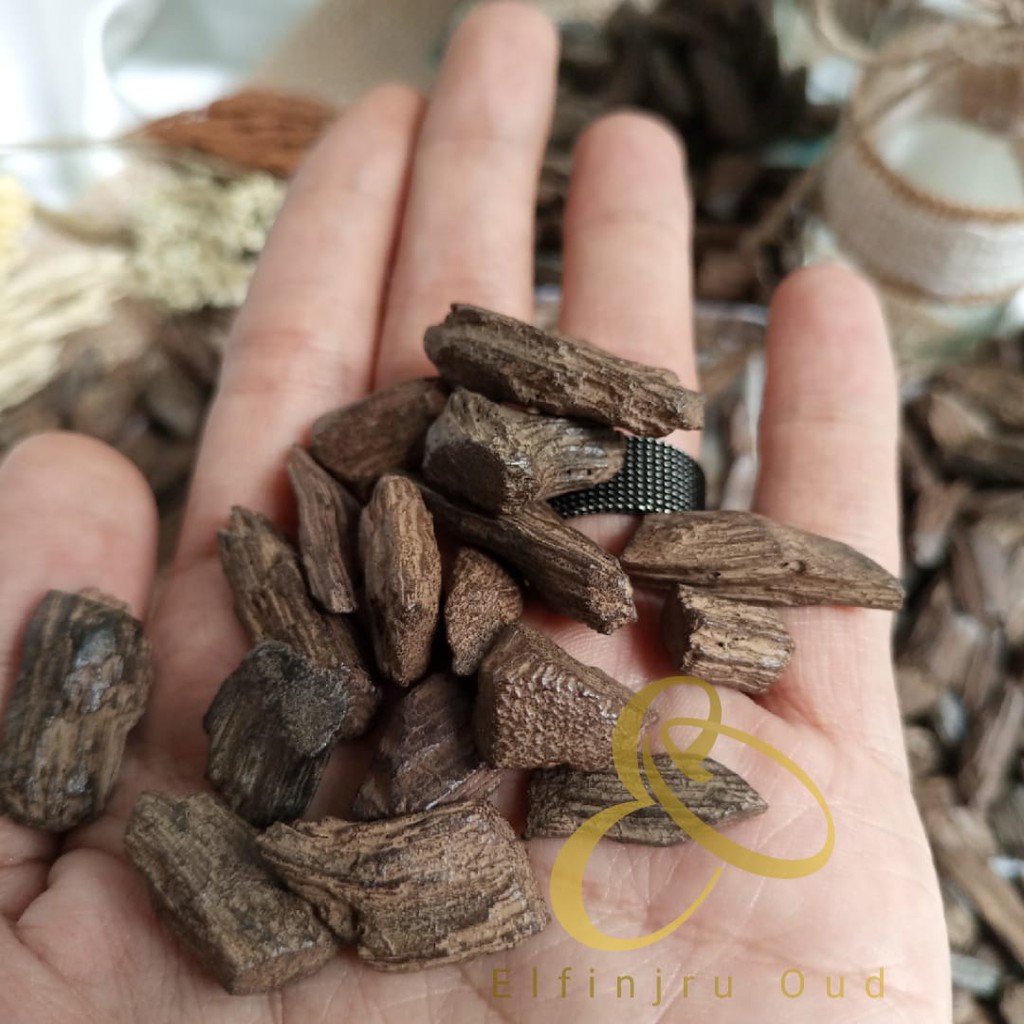 Jual KAYU GAHARU DUGA PURE OUD AGARWOOD SOA-SOA SULAWESI ORIGINAL ...