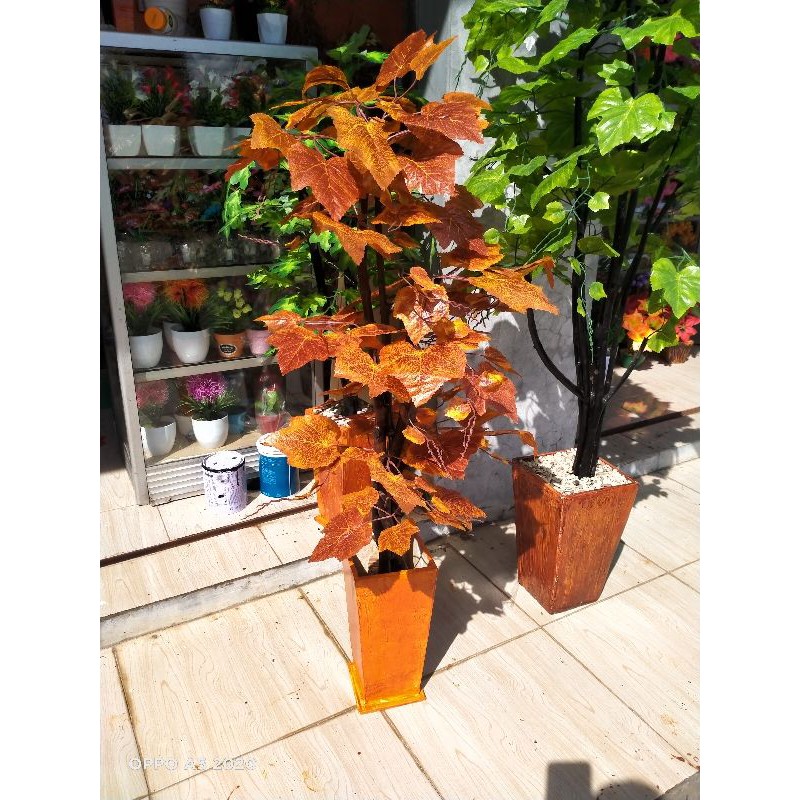 Jual bunga anggur coklat/pojok ruangan/daun anggur | Shopee Indonesia