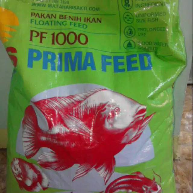 Harga PF 1000 1 Kilo Terbaru Jun 2026 | BigGo Indonesia