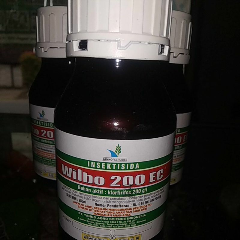 Jual INSEKTISIDA WILBO KLORFIRIFOS 200 G/L/ belalang ,walang sangit ...