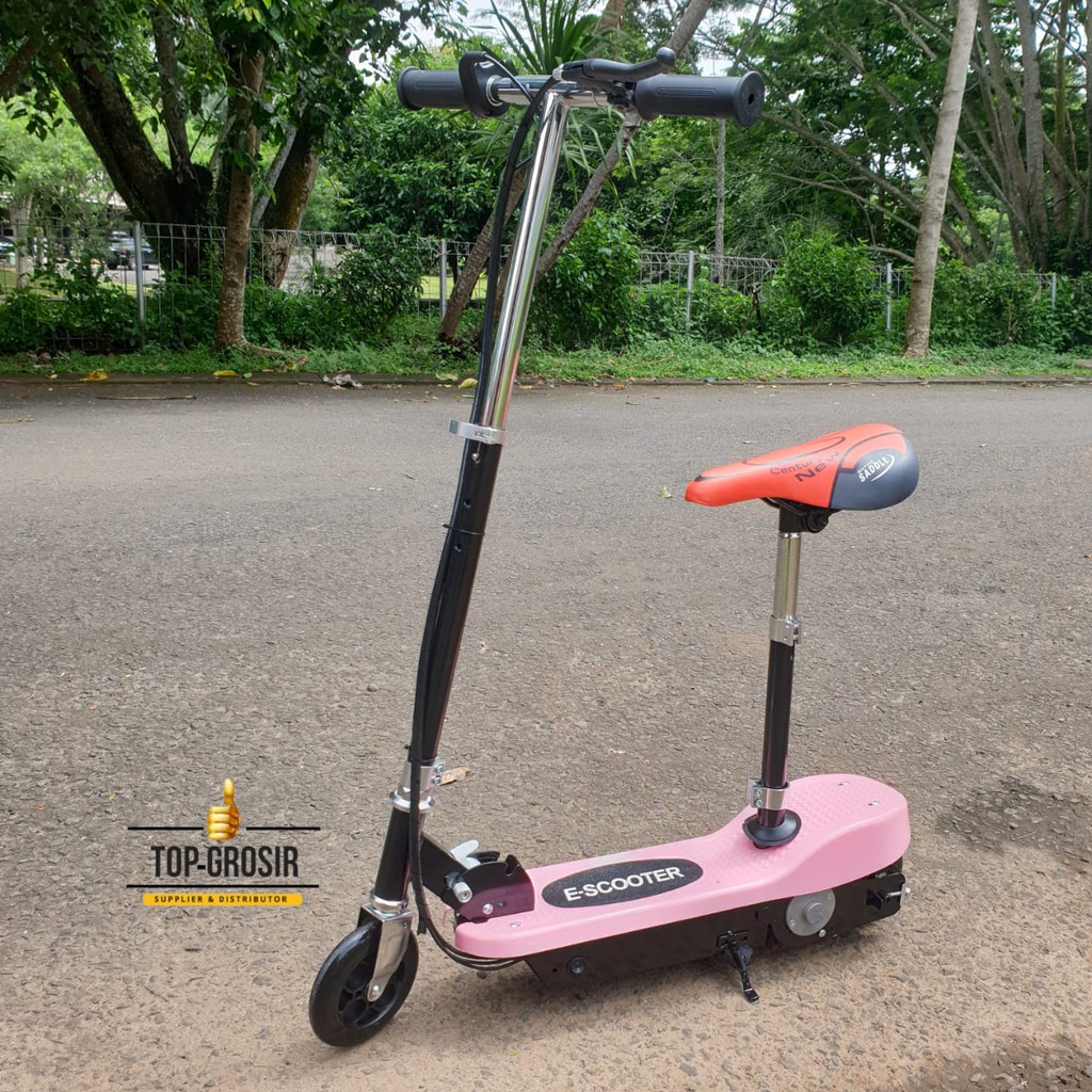 Mini Skuter Elektrik Electric Scooter Mainan Anak Segway Hoverboard ...