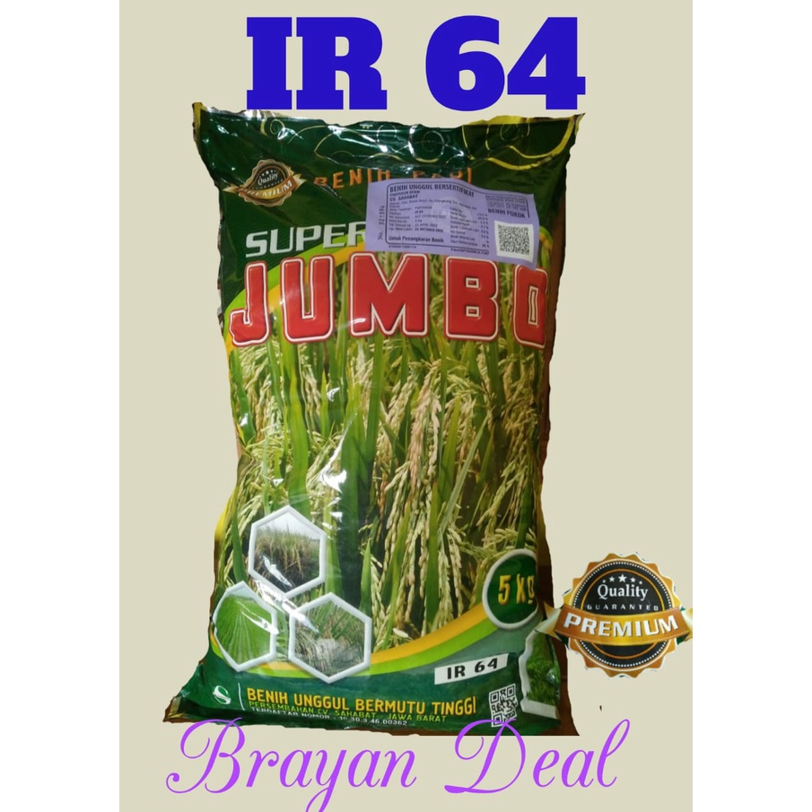 Jual IR 64 BENIH PADI UNGGUL SUPER JUMBO BERSERTIFIKAT | Shopee Indonesia