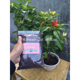 Jual Media Tanam Khusus Cabai Tabulampot Siap Pakai Untuk Cabe Dalam ...