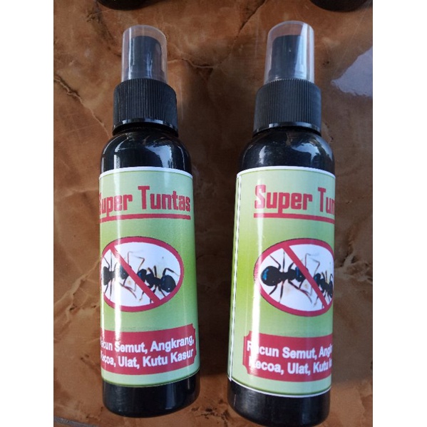 Jual RACUN SEMUT,OBAT SEMUT,RACUN RAYAP,TOTOR,KUTU KASUR,KECOA,ANGKRANG ...