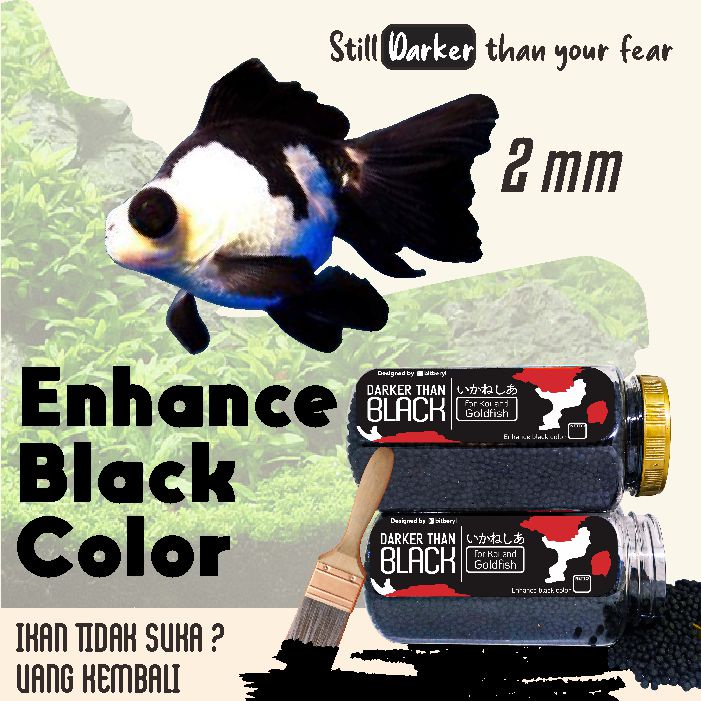 Jual Ikan Koki Panda Terlengkap & Harga Terbaru Oktober 2022 | Shopee ...