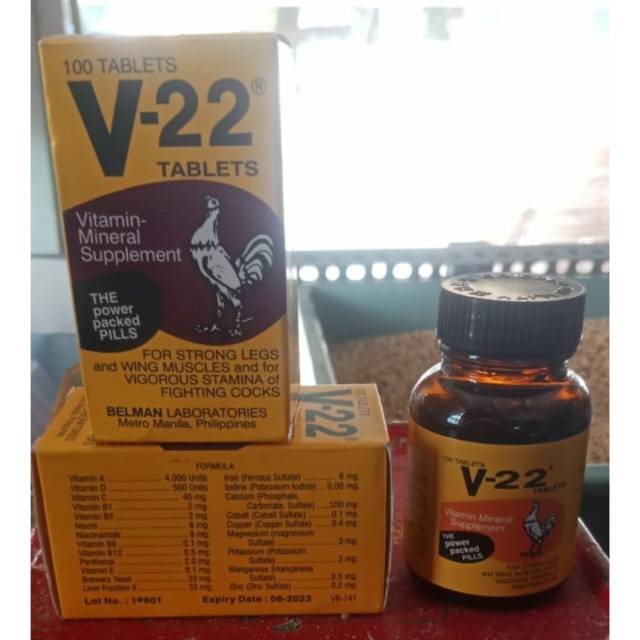 Jual V22 Tablet Vitamin-Mineral Supplement (Isi 100 tablet) | Shopee ...