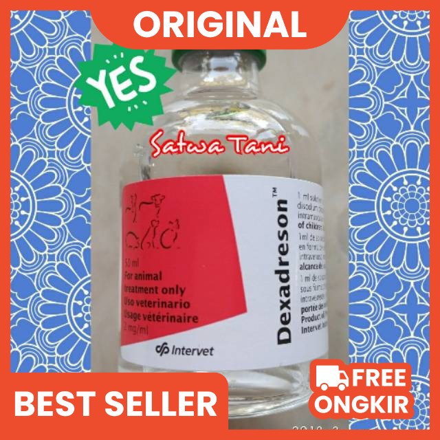 Harga Dexamethasone Terbaru Juni 2023 |BigGo Indonesia