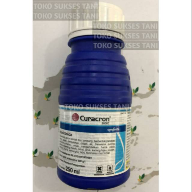 Jual Insektisida racun kontak dan lambung CURACRON 500 ec dari syngenta ...