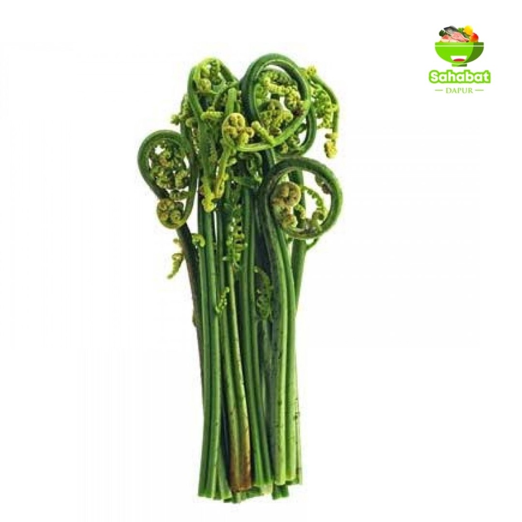 Jual Daun Pakis 1 Ikat - Bawangbagus | Shopee Indonesia