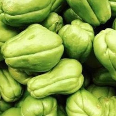 Jual Baby labu Siam Fresh - 250 gram | Shopee Indonesia