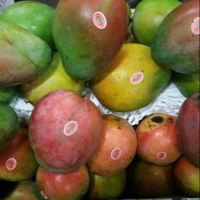 Jual Mangga Brazil / Mangga Irwin | Shopee Indonesia