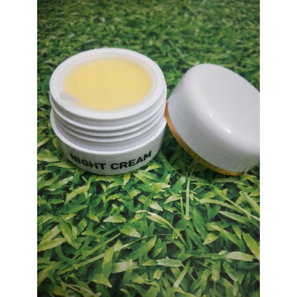 Jual Night cream krim malam super whitening | Shopee Indonesia