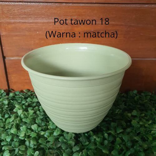 Jual POT BUNGA TAWON 20 ( MATCHA ) | Shopee Indonesia