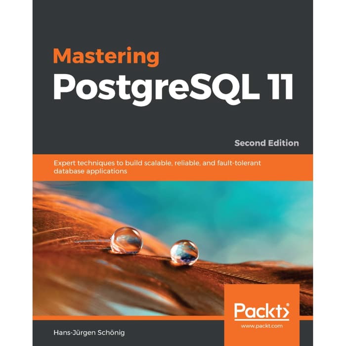 Jual Buku Mastering PostgreSQL 11 Second Edition | Shopee Indonesia