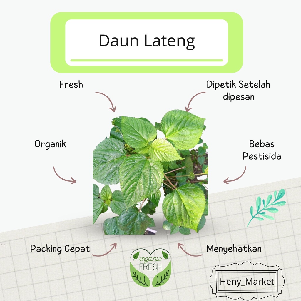 Harga Lateng Terbaru Februari 2023 |BigGo Indonesia