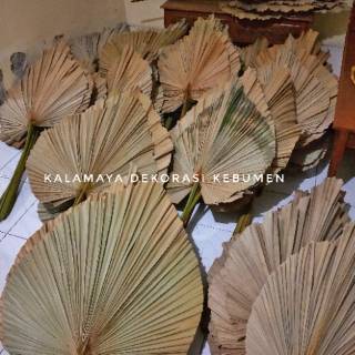 Jual Dekorasi Daun Rustik Kering Palem Sikas Pampas Gandum Wedding ...