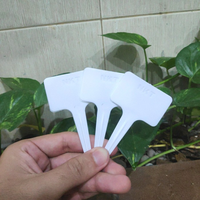 Jual Plant Tag NKT tipe T/ Name Tag tanaman 50pcs | Shopee Indonesia