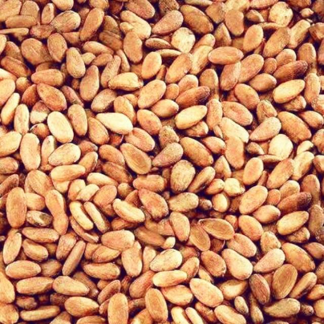 Jual Biji coklat kering KAKAO asli 500gr Indonesia|Shopee Indonesia