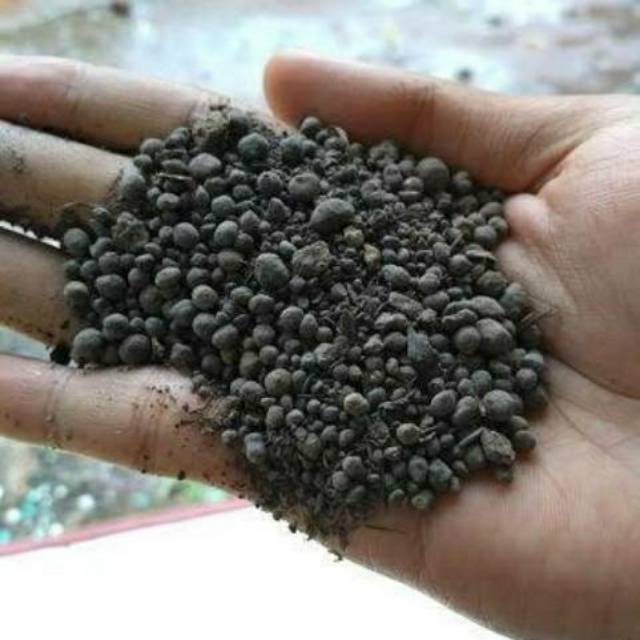 Jual PUPUK PETROGANIK 1 KG repacking/kemasan ecer 1 kg | Shopee Indonesia