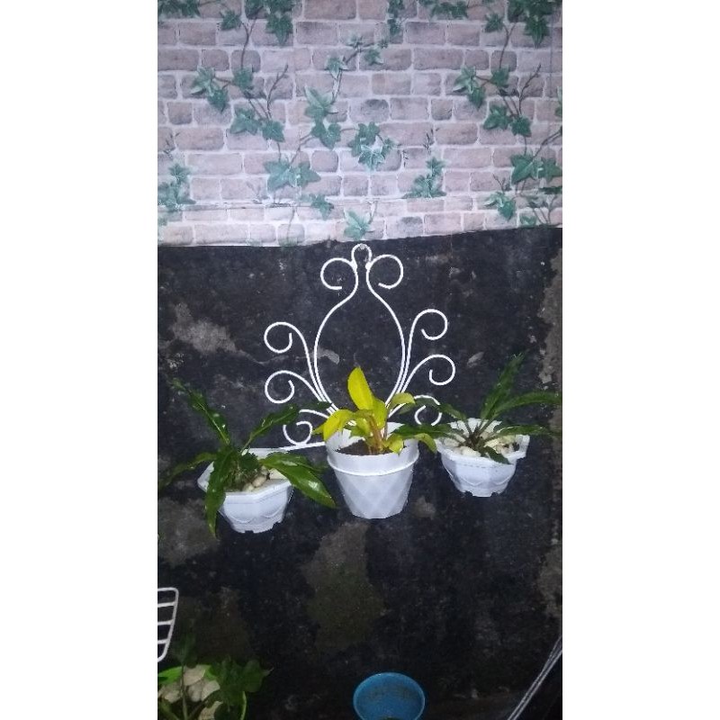 Jual standing pot besi tempel dinding | Shopee Indonesia