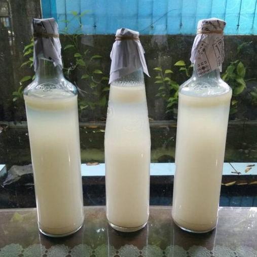 Jual BIBIT NATA DE COCO, STARTER || volume 500ml, Acetobacter Xylinum ...