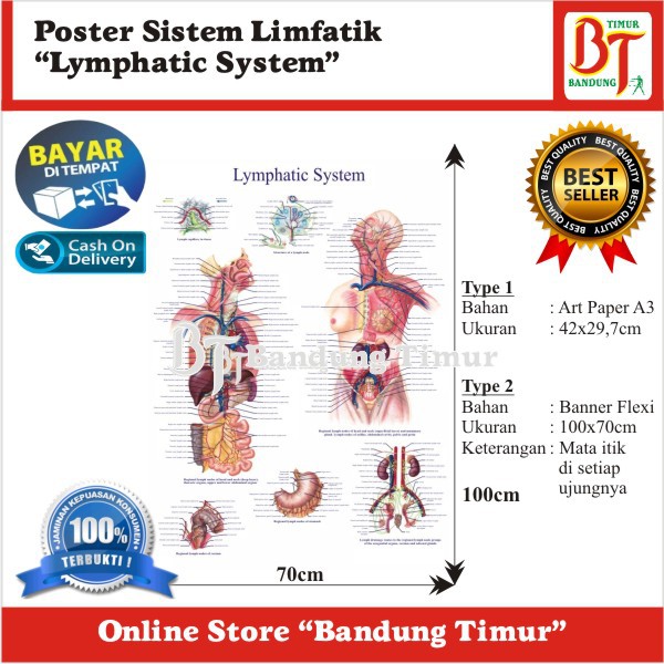 Jual POSTER SISTEM LIMFATIK LYMPHATIC SYSTEM | Shopee Indonesia