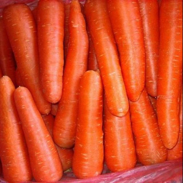 Jual 30 Benih Biji Wortel Brastagi Berastagi Oranye Wortol Wertol ...