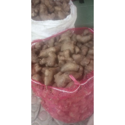Harga mbili Terbaru Apr 2025 | BigGo Indonesia