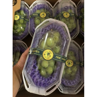 Jual anggur hijau shine muscat fresh seedless grapes per pack | Shopee ...