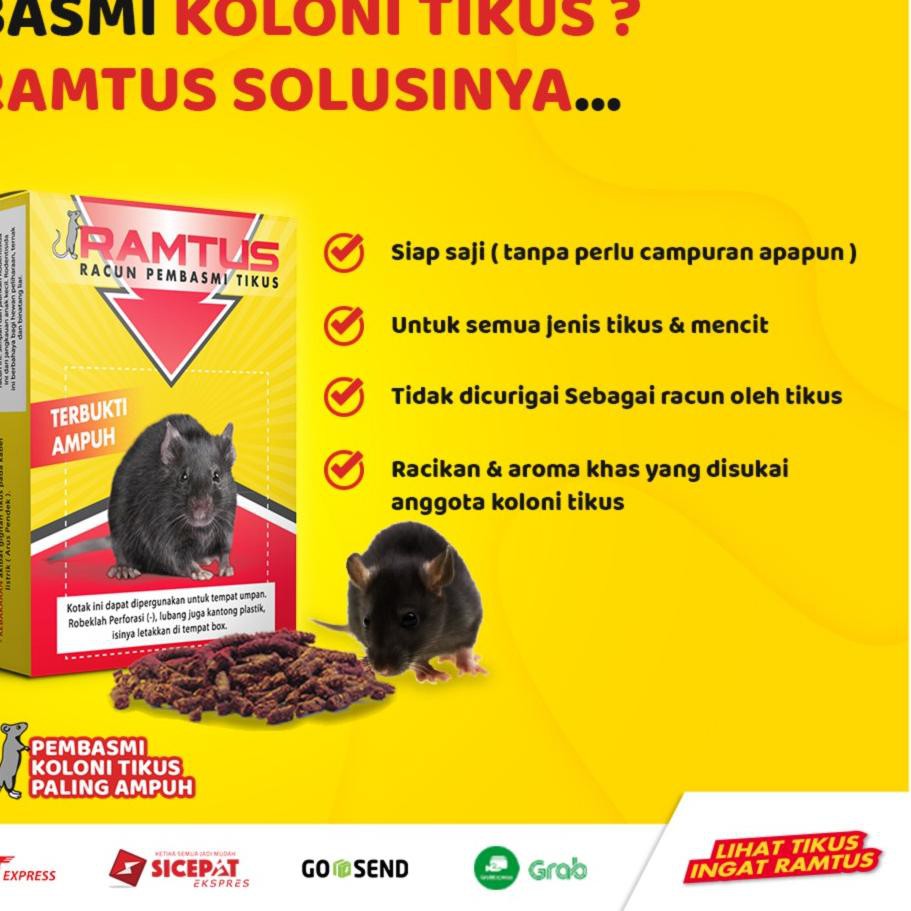 Harga Wirog Terbaru Januari 2023 |BigGo Indonesia