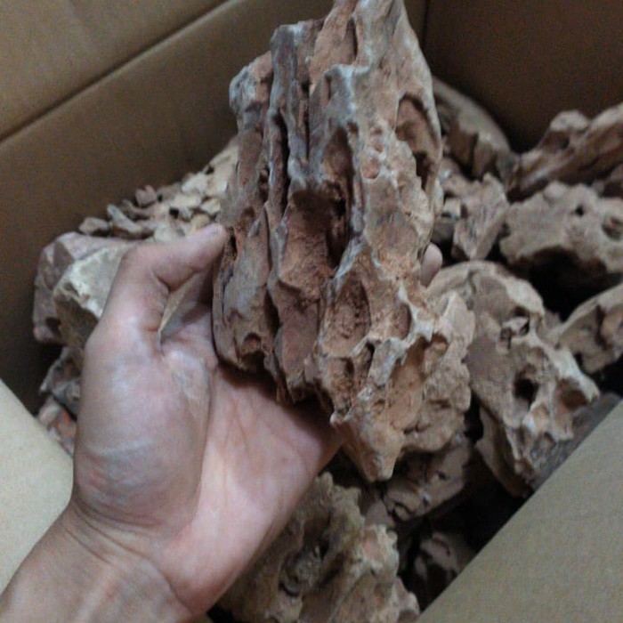Harga Dragon Stone Batu Aquascape Terbaru Jun 2026 | BigGo Indonesia