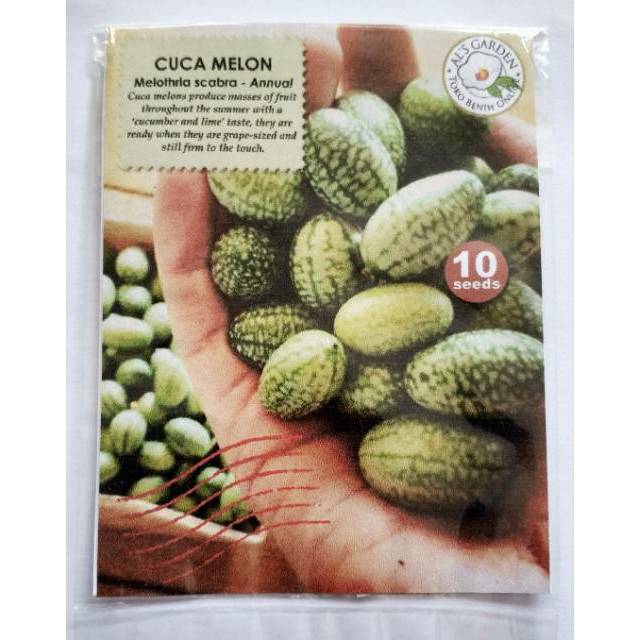 Jual Benih Biji Timun Mini Cuca Melon Pack - Als Garden | Shopee Indonesia
