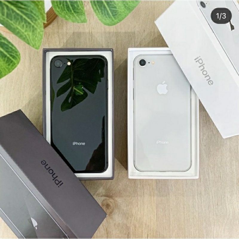 Jual iphone XR 64 GB ori 100% exinter (white) Indonesia|Shopee Indonesia