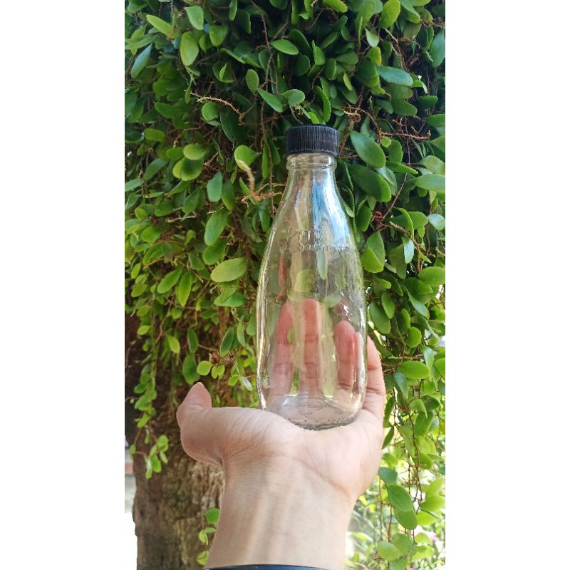 Jual botol kaca bening 250ml botol kim | Shopee Indonesia