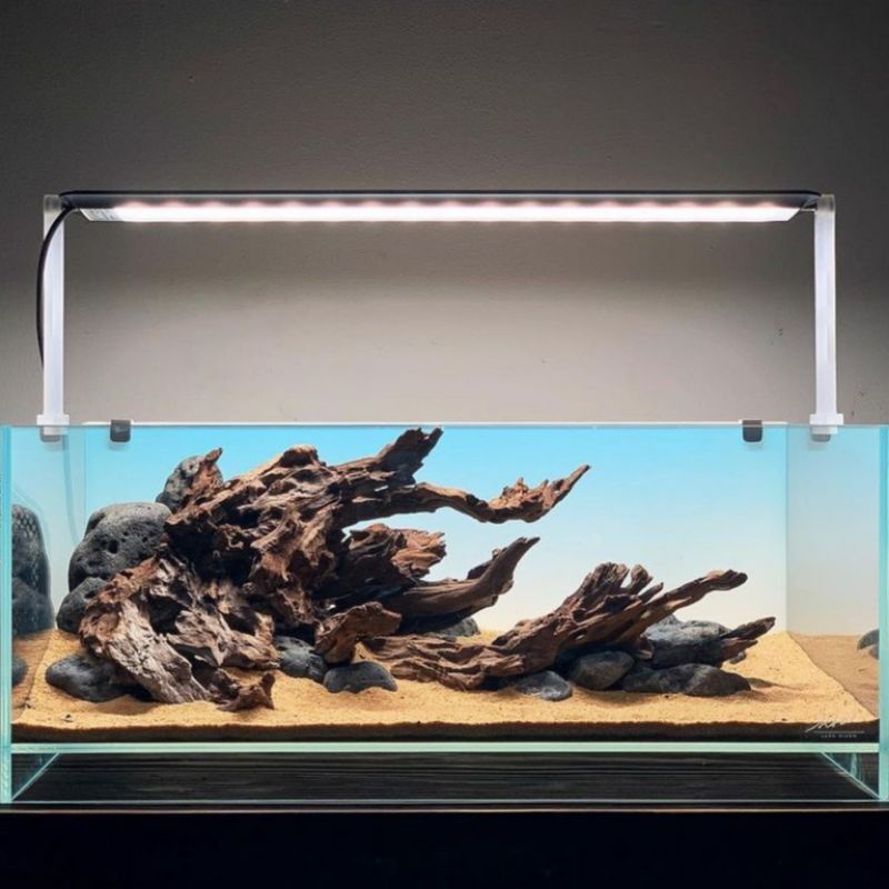 Jual Kayu Rentek Aquascape/Paludarium/Castawood Size L Indonesia|Shopee ... Jual Kayu Rentek Aquascape/Paludarium/Castawood Size L Indonesia|Shopee ...