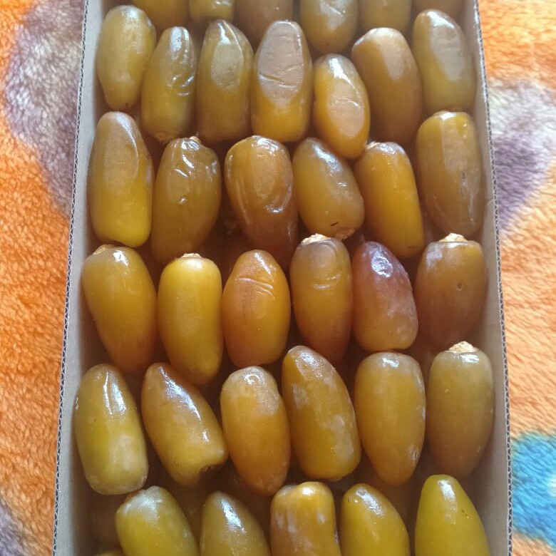 Jual COD KURMA RUTHOB LIBYA | KURMA ARAB TERBAIK 1KG | Shopee Indonesia