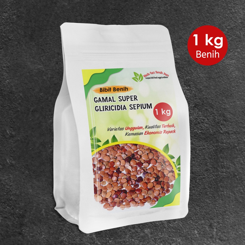 Jual Benih pilihan bibit gamal super 1 kg / benih pakan ternak sapi dan ...