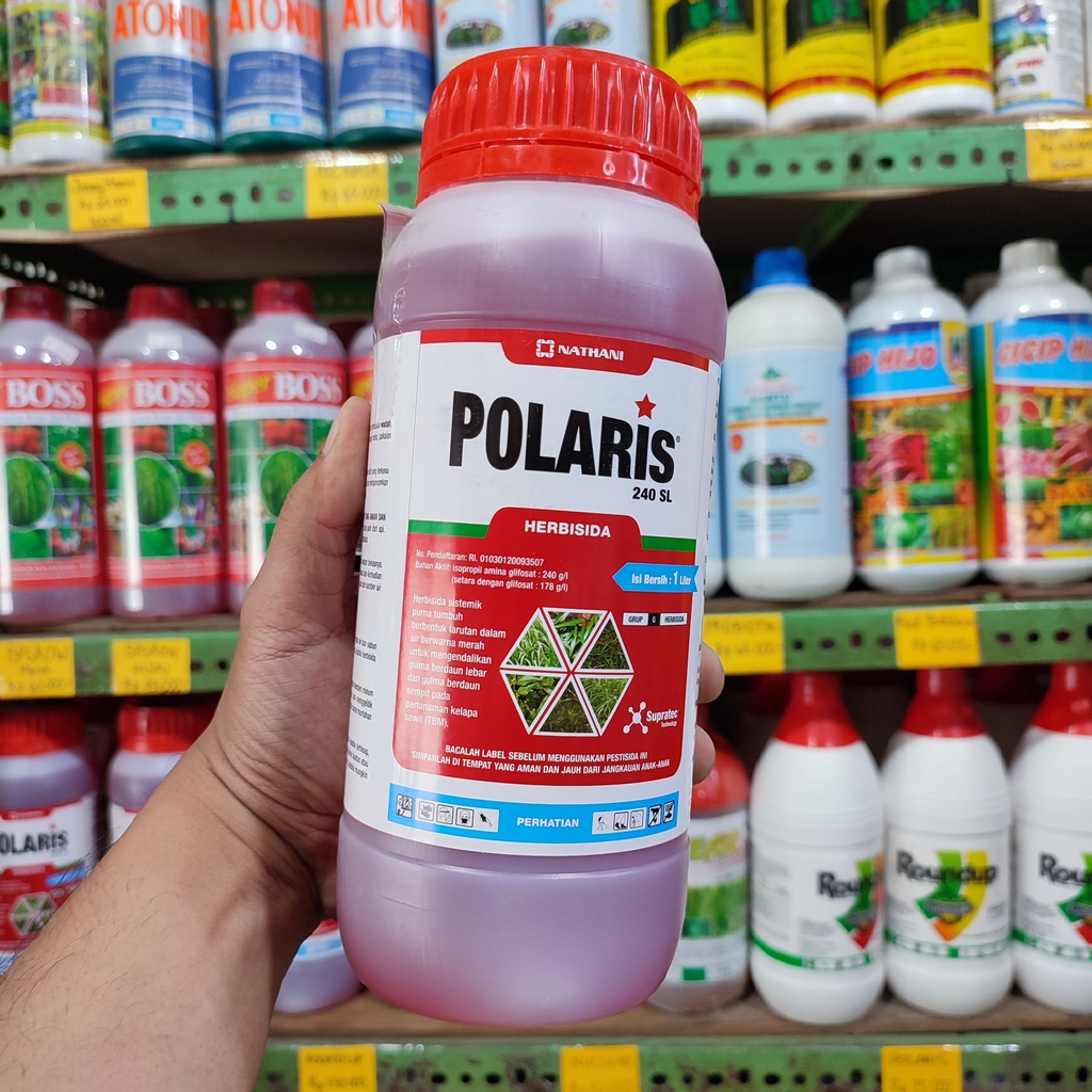 Jual 240SL Polaris 1 Liter Herbisida Sistemik Obat Pembasmi Rumput ...