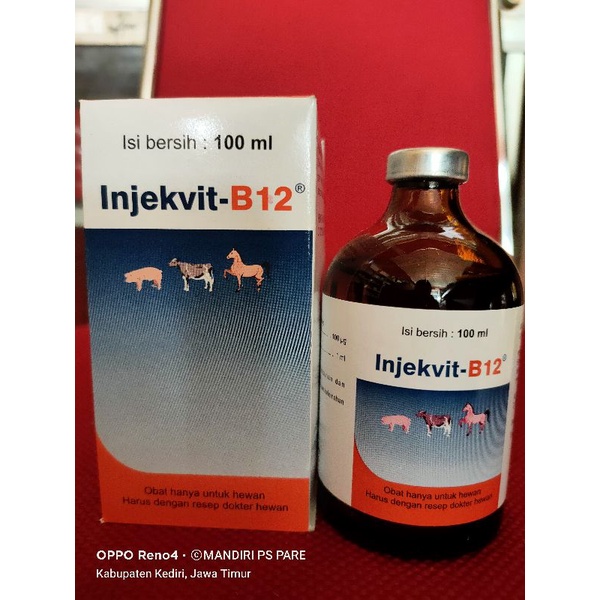 Jual INJEKVIT B12 100 ML MEDION | Shopee Indonesia
